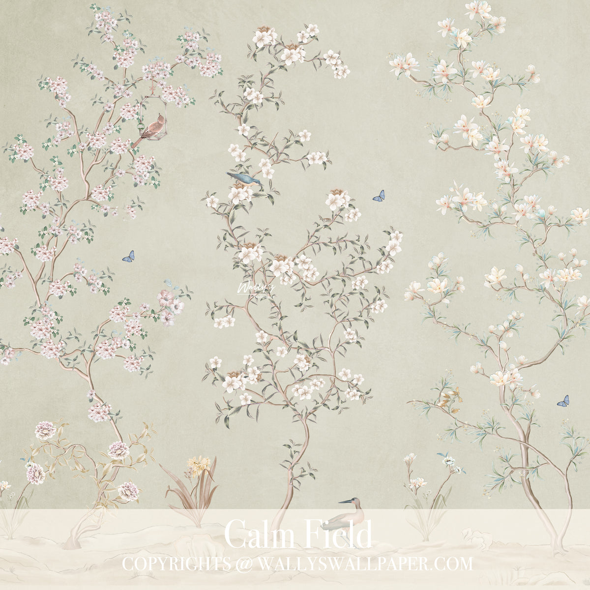 Calm field – Wally's Wallpaper