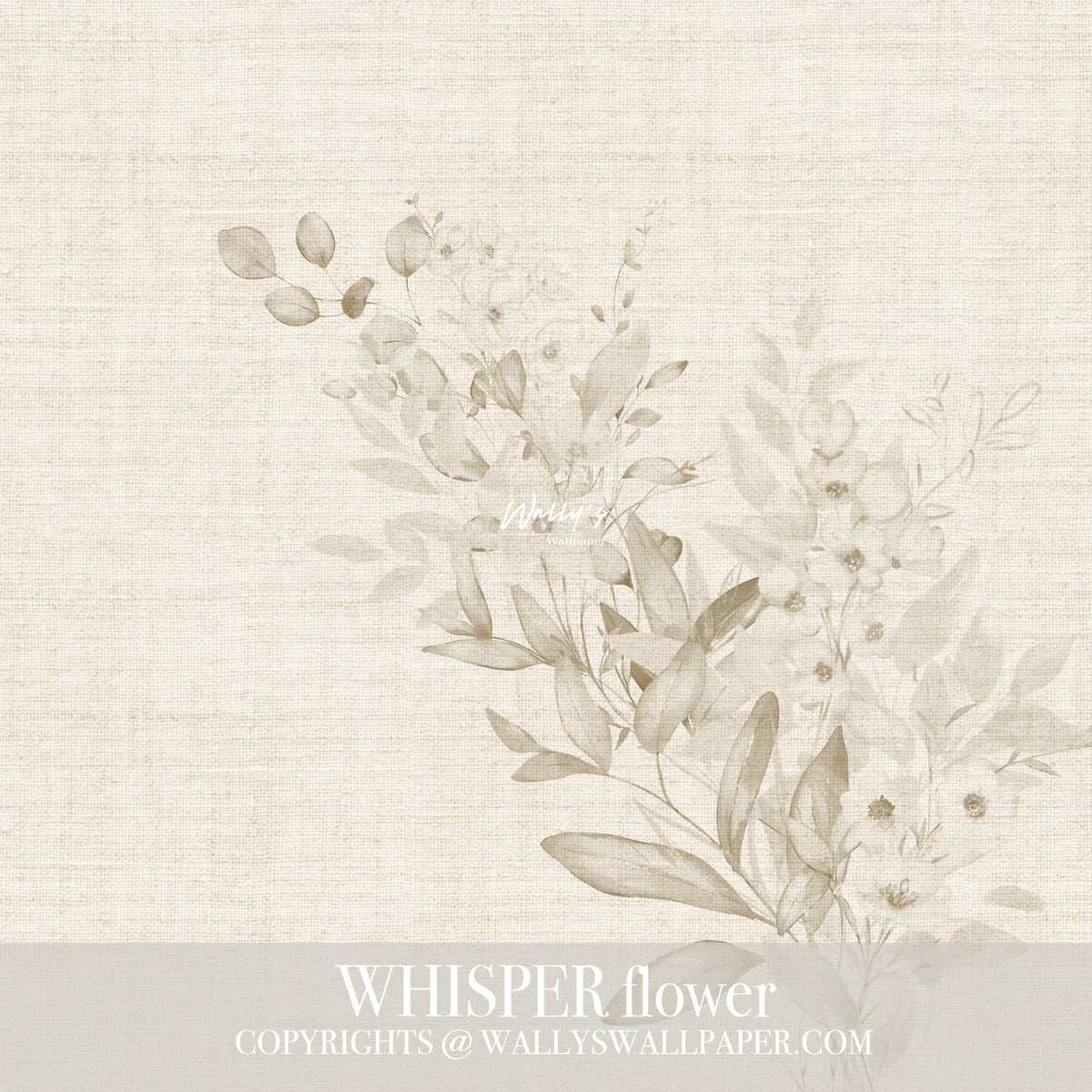 Whisper Flower – Wally's Wallpaper